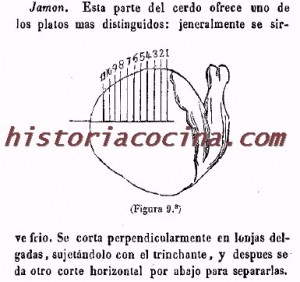 Historia del cerdo, marrano, cochino, puerco o chancho y jabalíes ...